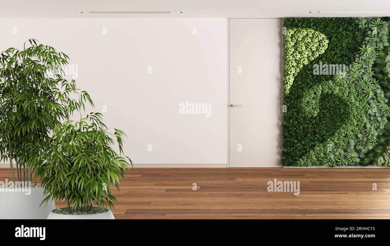 Zen interior with potted bamboo plant, natural interior design concept ...