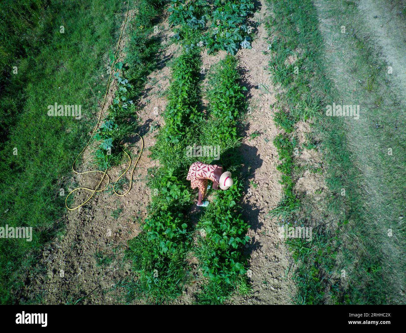 Beautiful woman bending over hi-res stock photography and images - Alamy