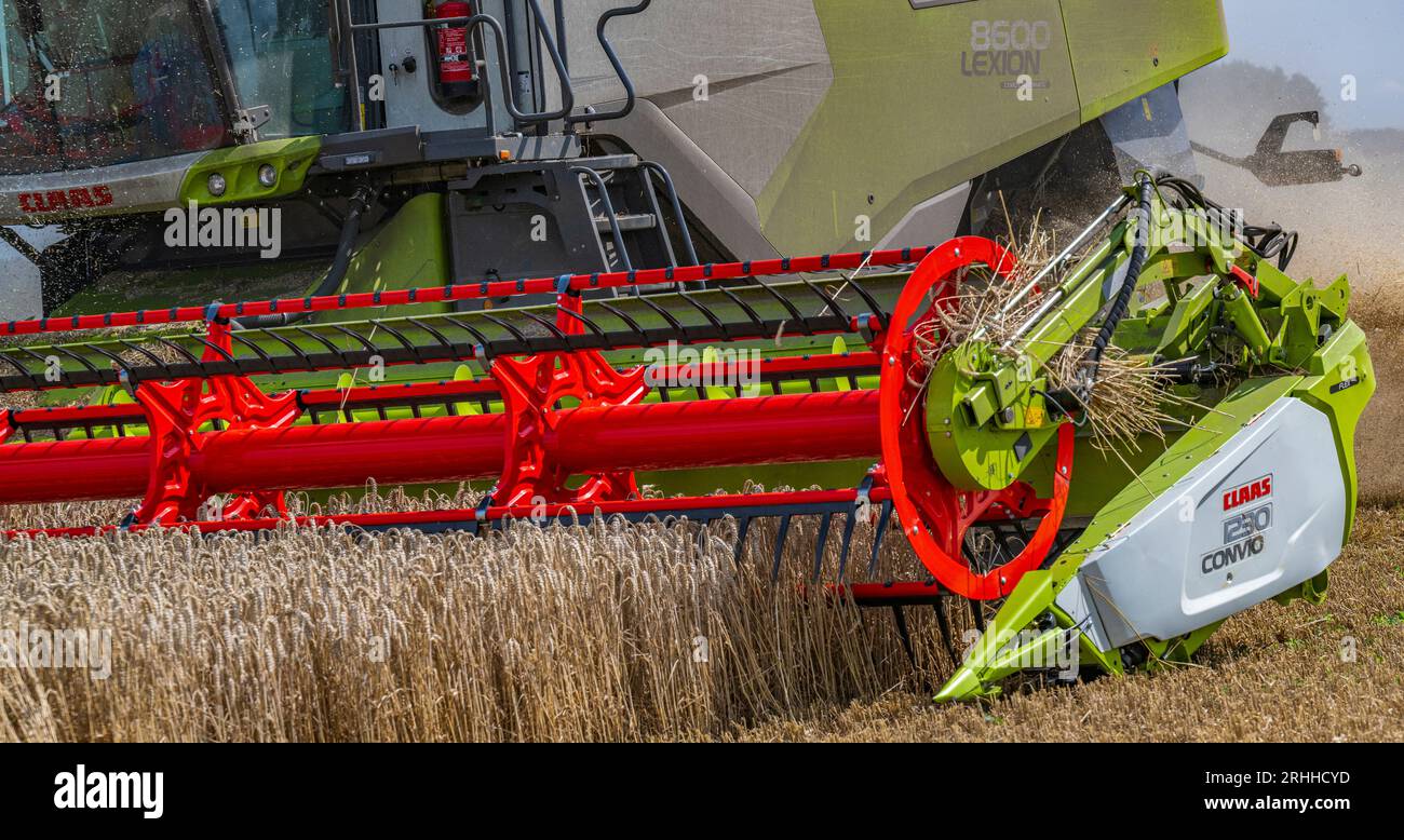 A Claas combine harvester working to harvest the corn on a summer’s day ...