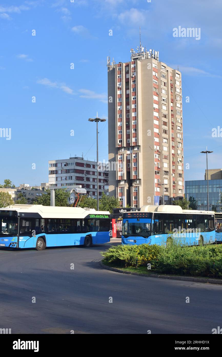 Public transport buses on a bus station. Mix of old and new, electric ...