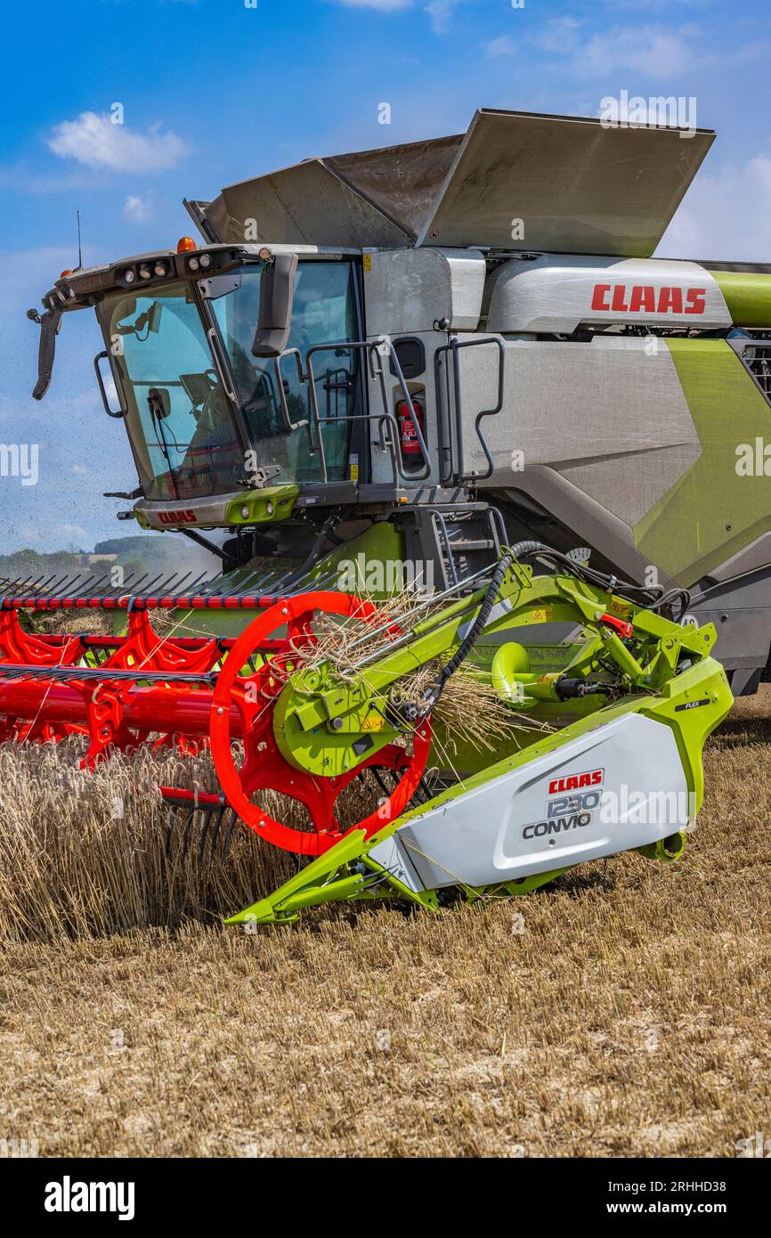 A Claas combine harvester working to harvest the corn on a summer’s day ...