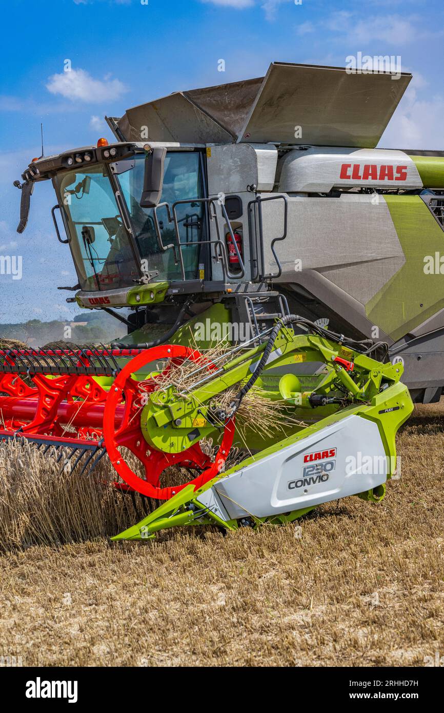 A Claas combine harvester working to harvest the corn on a summer’s day ...