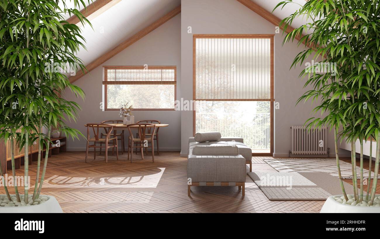Zen interior with potted bamboo plant, natural interior design concept ...