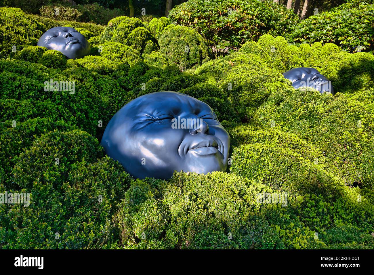 Faces of emotions in garden Stock Photo - Alamy