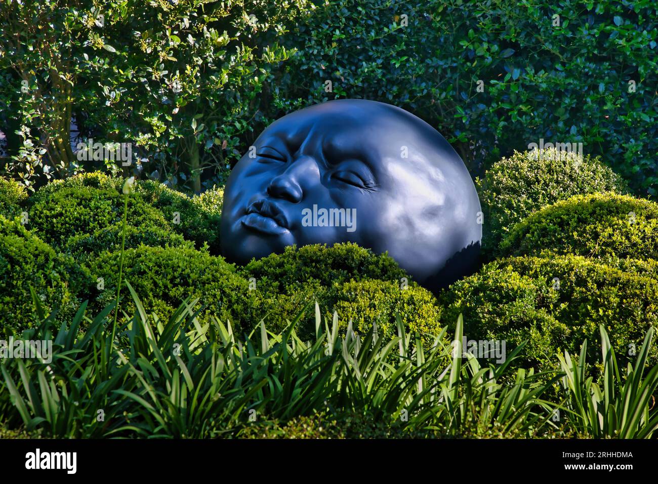 Emotional face in green garden Stock Photo - Alamy