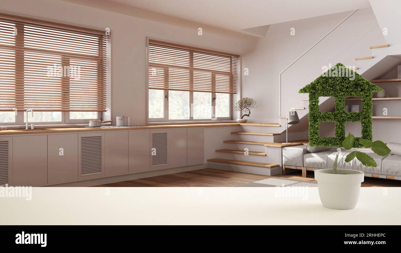 White table top or shelf with green plant in pot shaped like house ...