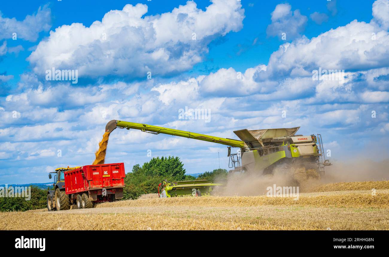 Agricultural gathering hi-res stock photography and images - Alamy