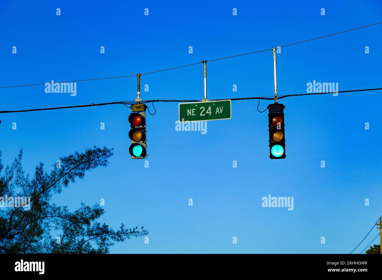 street sign NE 24 AV in Miami at Highway No 1, USA Stock Photo - Alamy
