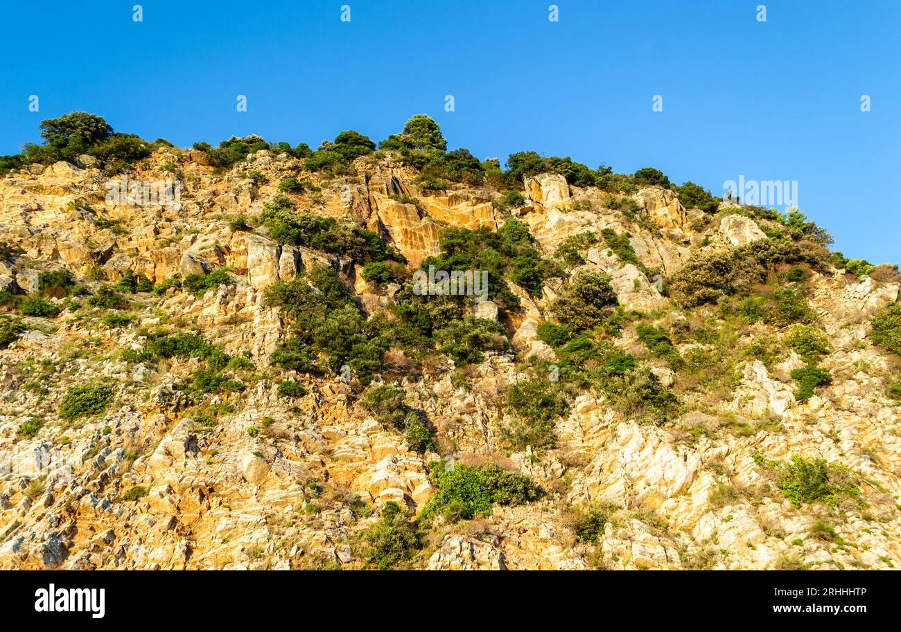 Sunlit cliffs, covered with branches of evergreen trees, in Petrovac na ...