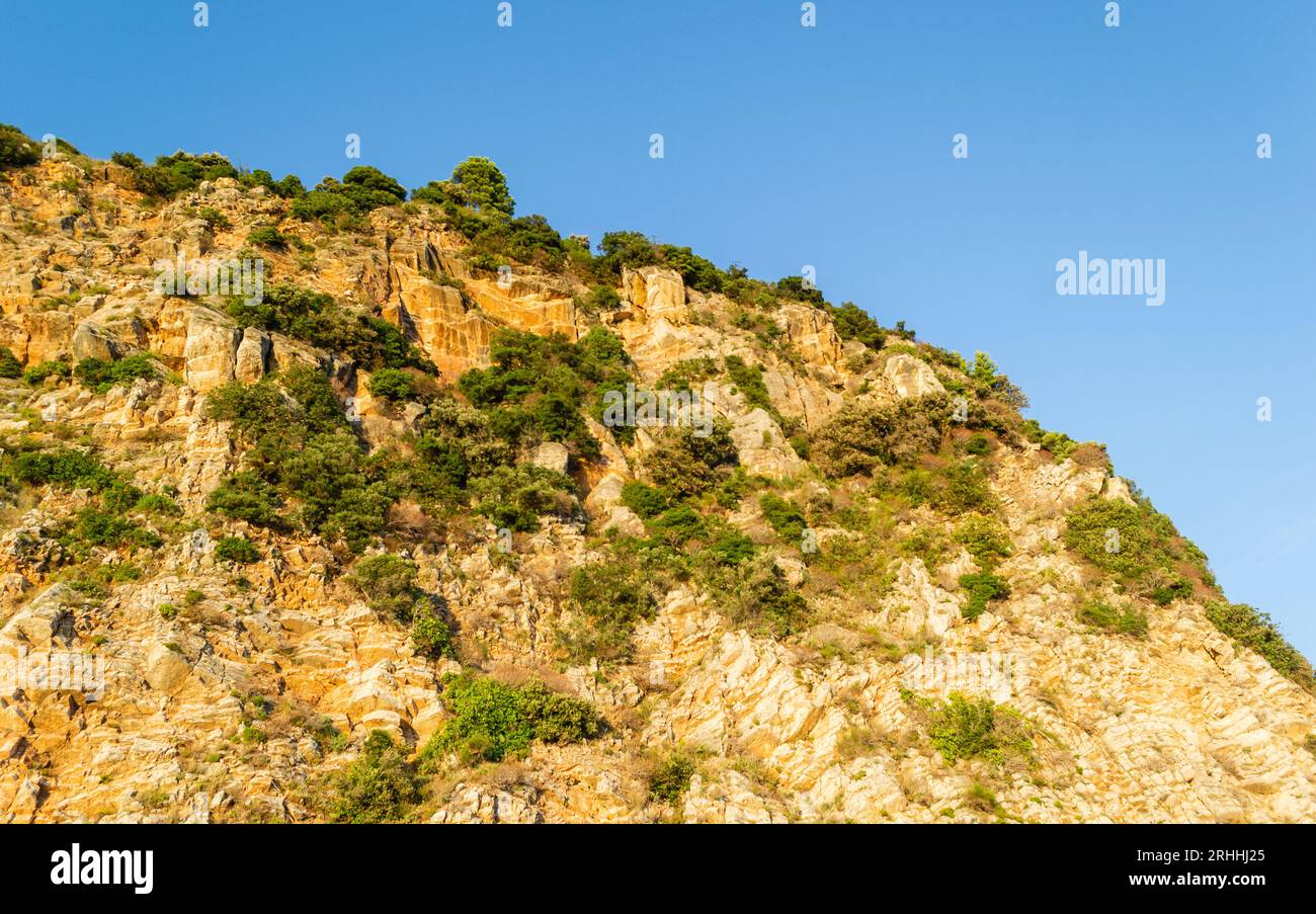 Sunlit cliffs, covered with branches of evergreen trees, in Petrovac na ...