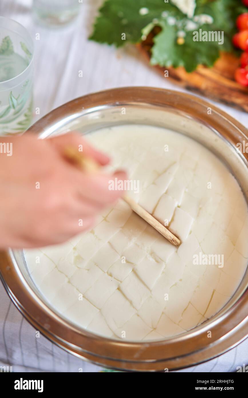 Master class and cheese tasting. Women make cheese. The enzyme and ...