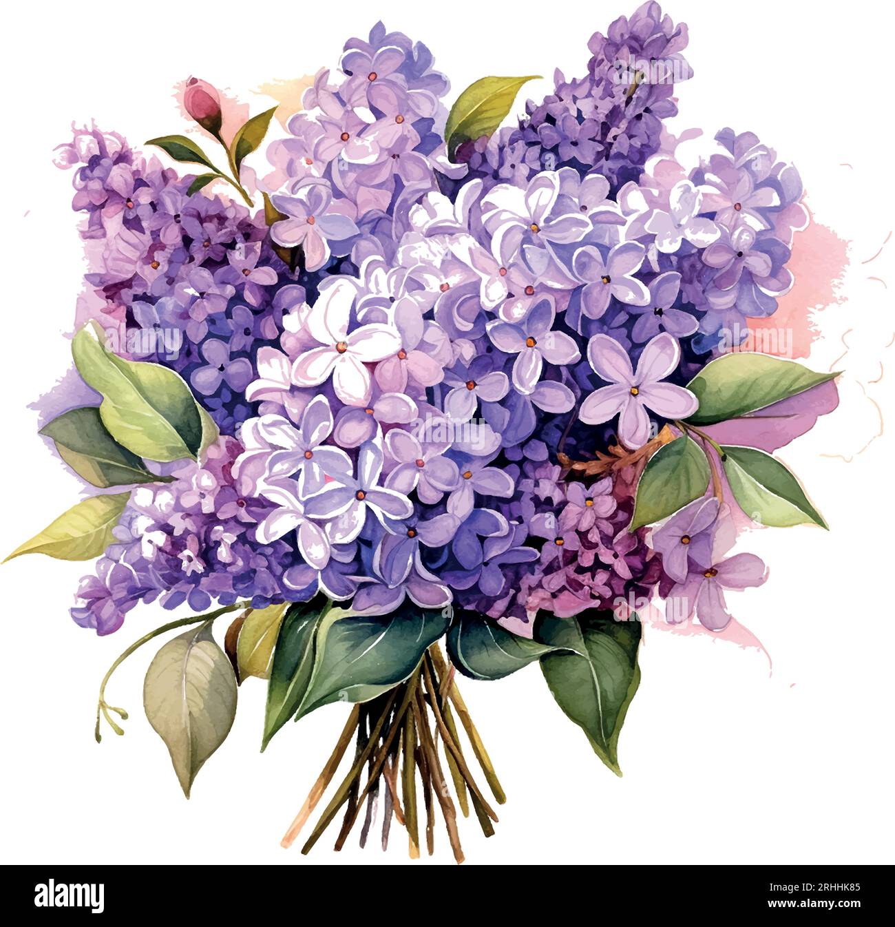 Beautiful bouquet of lilac watercolor, great design for any purposes ...