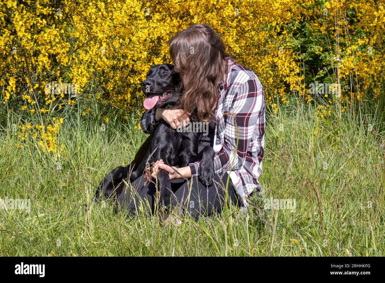 Knuffelen hi-res stock photography and images - Alamy