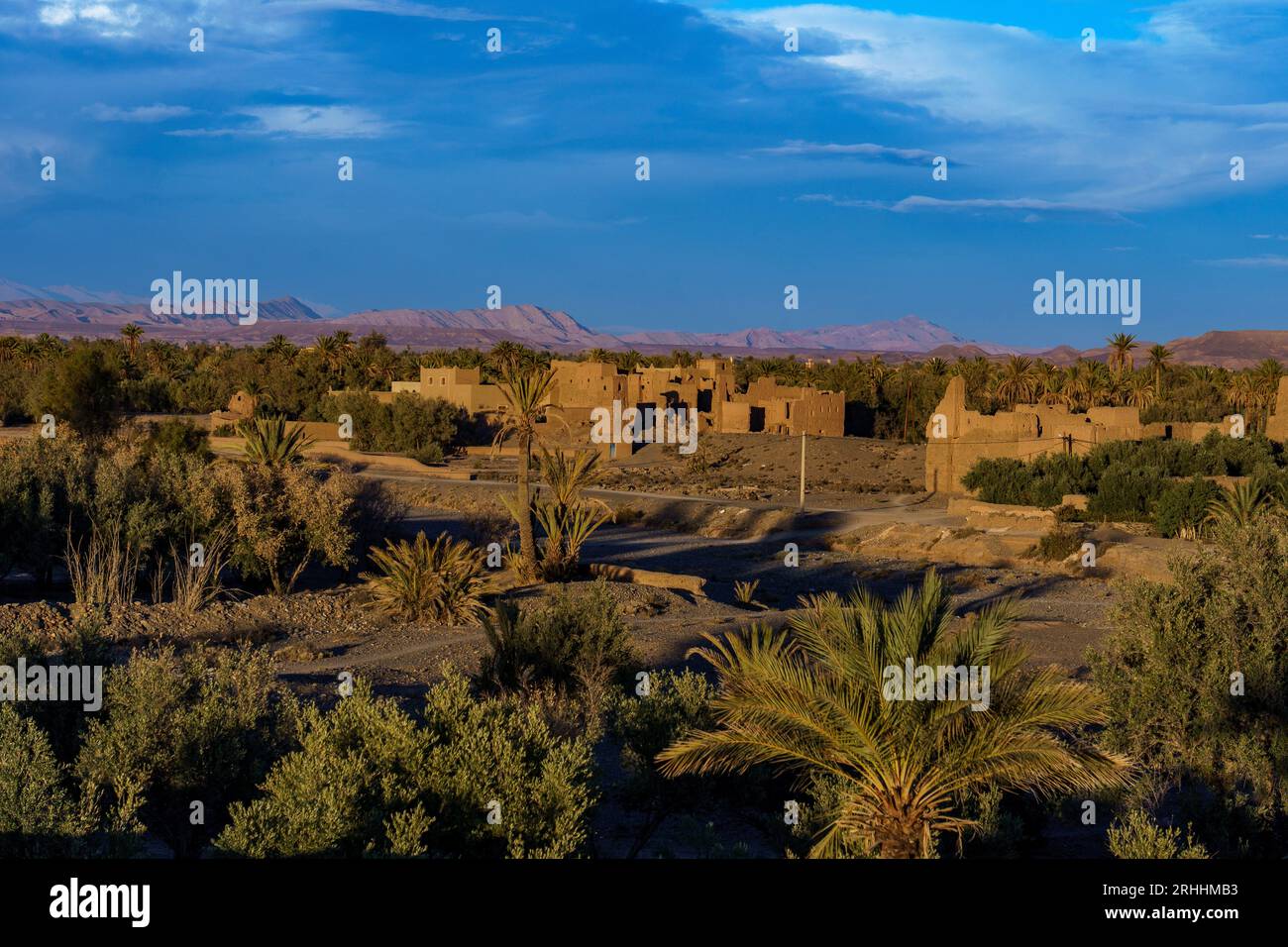 North Africa. Morocco. Skoura oasis palm grove in a Dades valley with ...