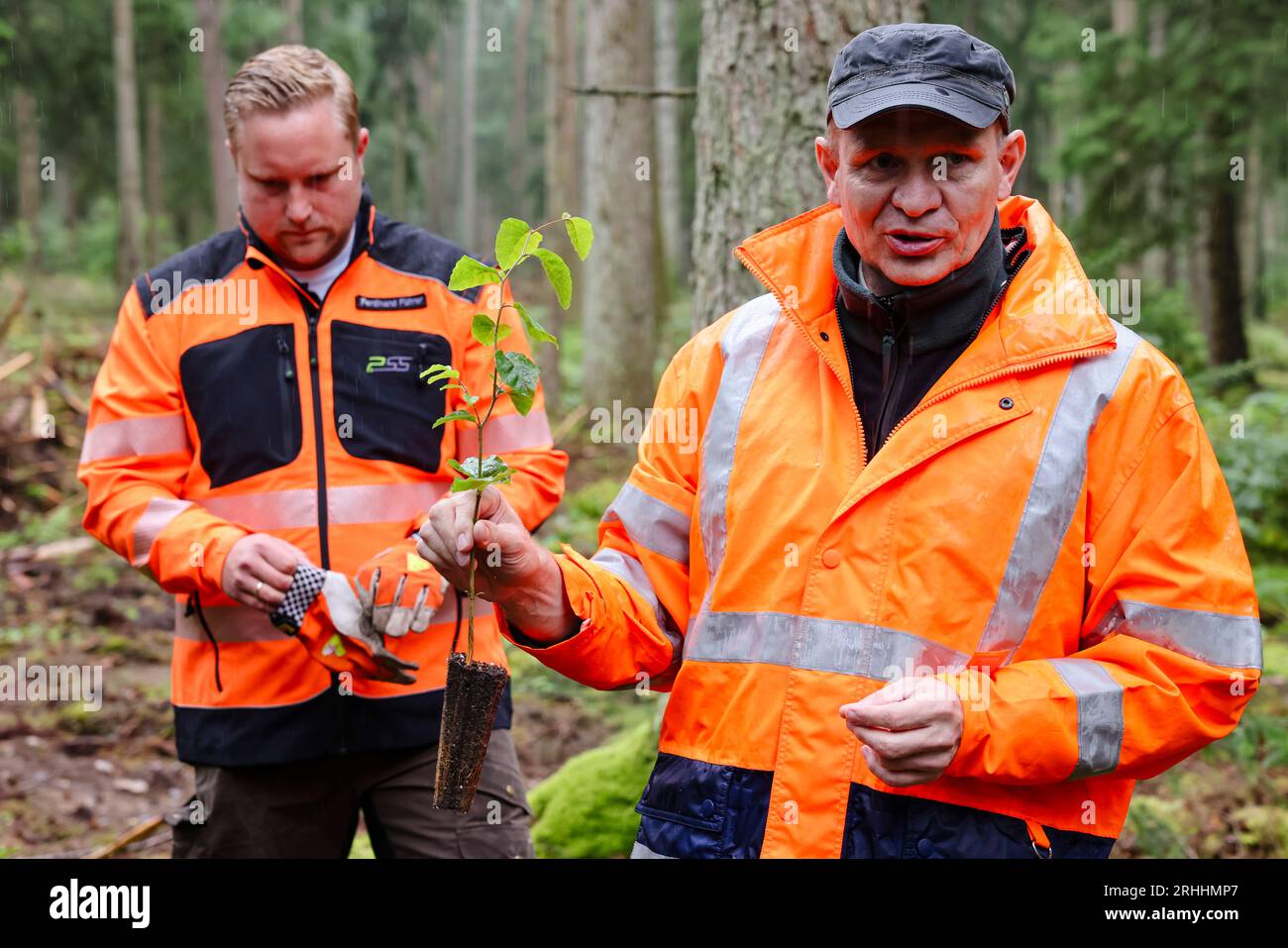 Ferdinand fuhrer hi-res stock photography and images - Alamy