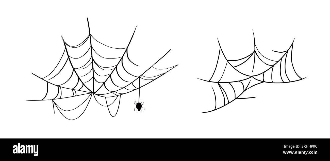 Halloween monochrome cobweb and spiders isolated on white background ...