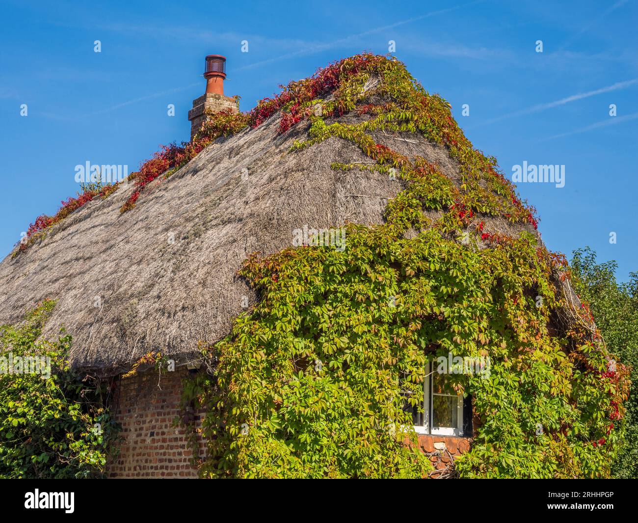 Thatched Cottage with Ivey, The Street, Old Basing, Basingstoke ...