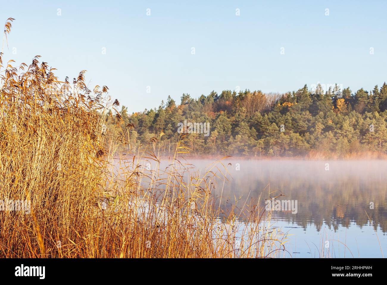 Lakeshore in autumn hi-res stock photography and images - Alamy