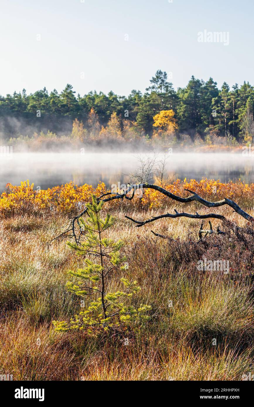 Colorful mists hi-res stock photography and images - Alamy