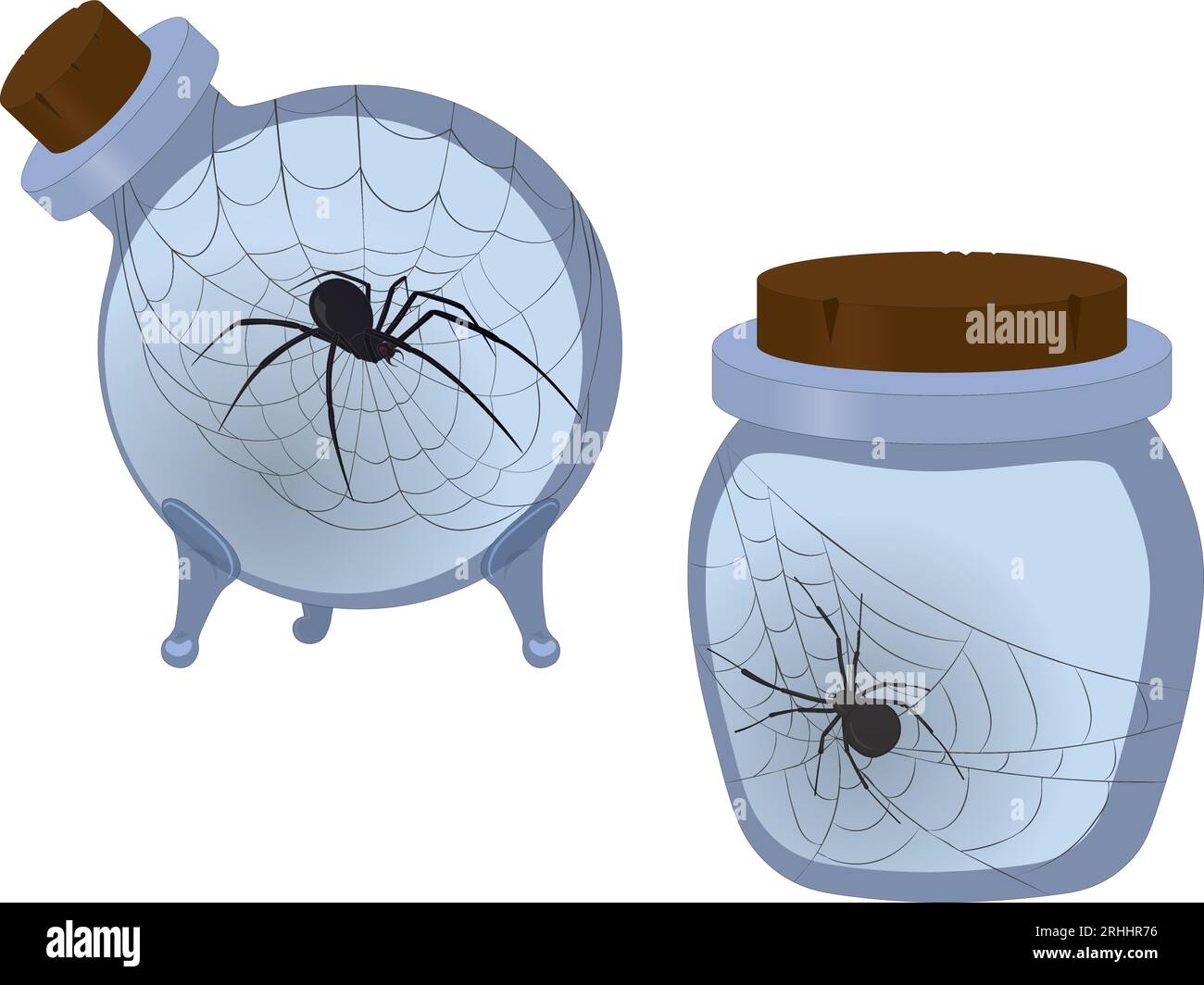 Spider in container Cut Out Stock Images & Pictures - Alamy