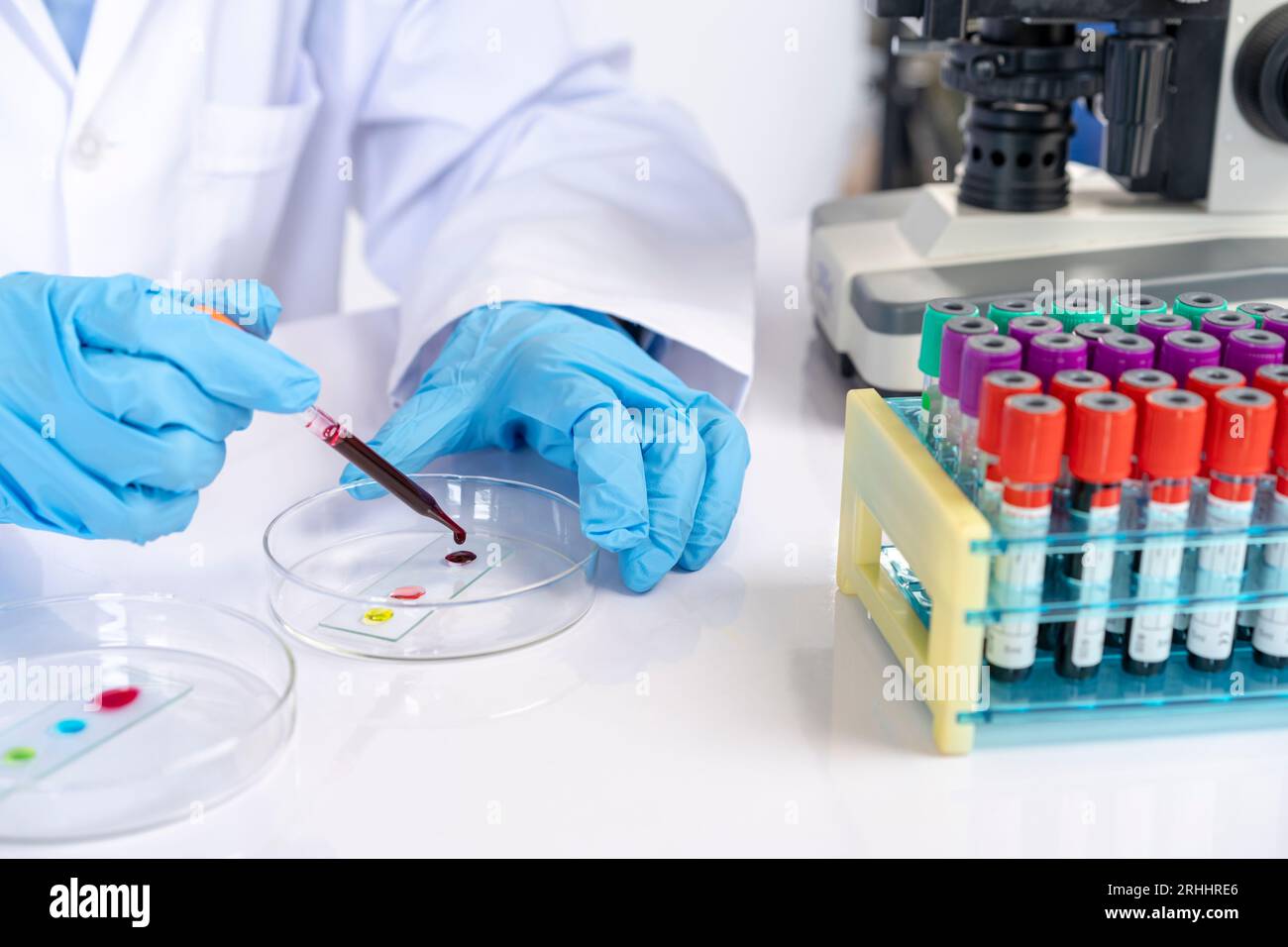 Scientist working laboratory sample test hi-res stock photography and ...