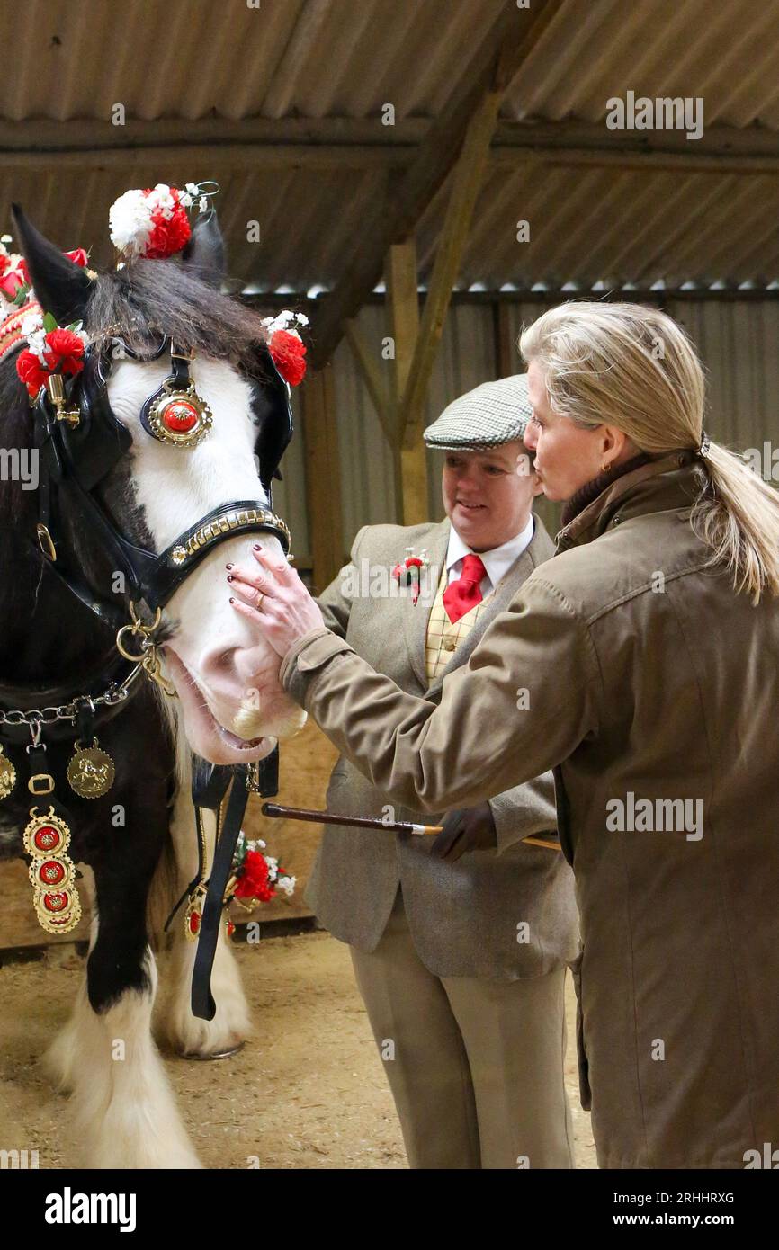 Sophie, Duchess of Wessex, at the Shire Horse Society National Show ...