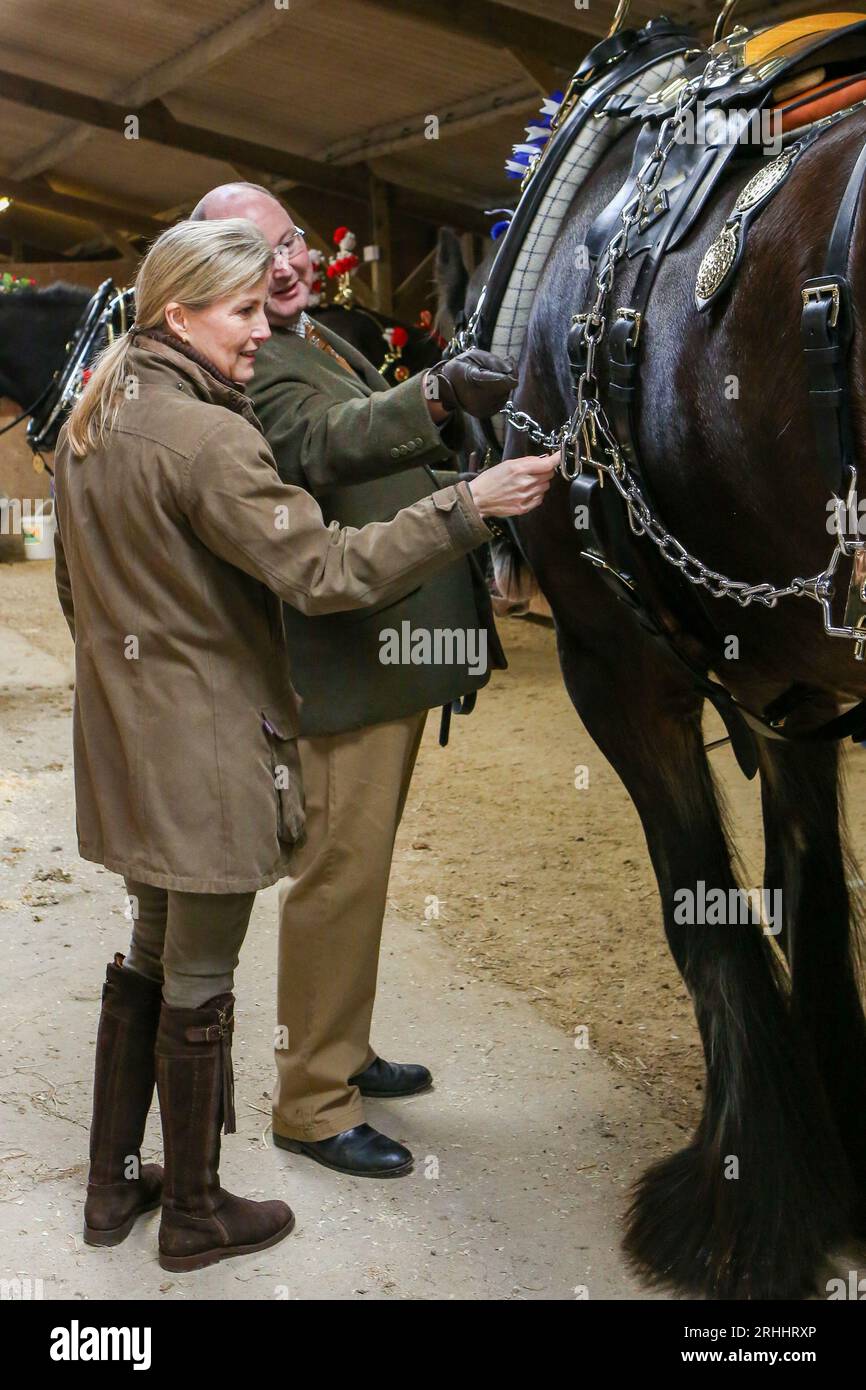Presidents Riding Animals