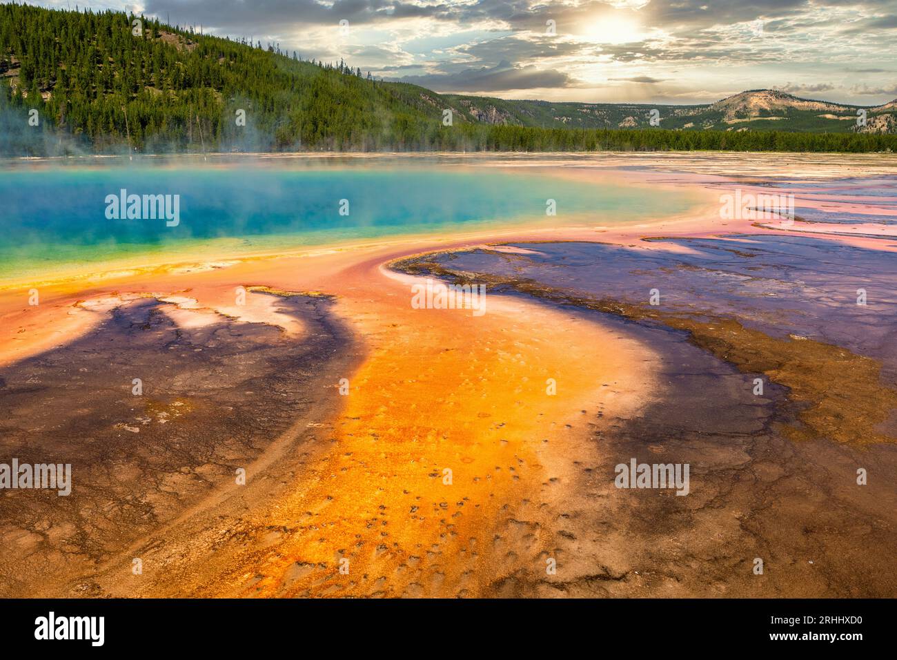 not be true but it is Stock Photo - Alamy