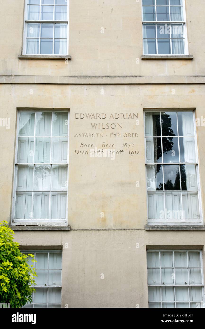 An wilson historian hi-res stock photography and images - Alamy