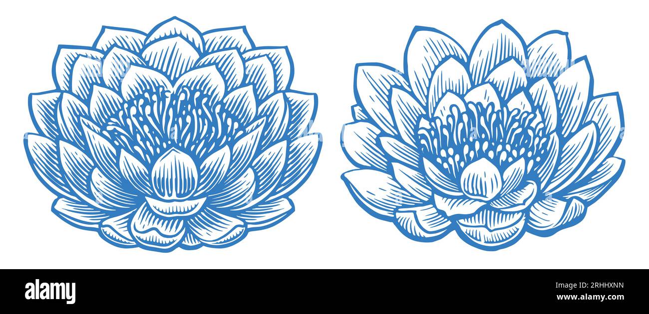 Blue Lotus Flower Clipart
