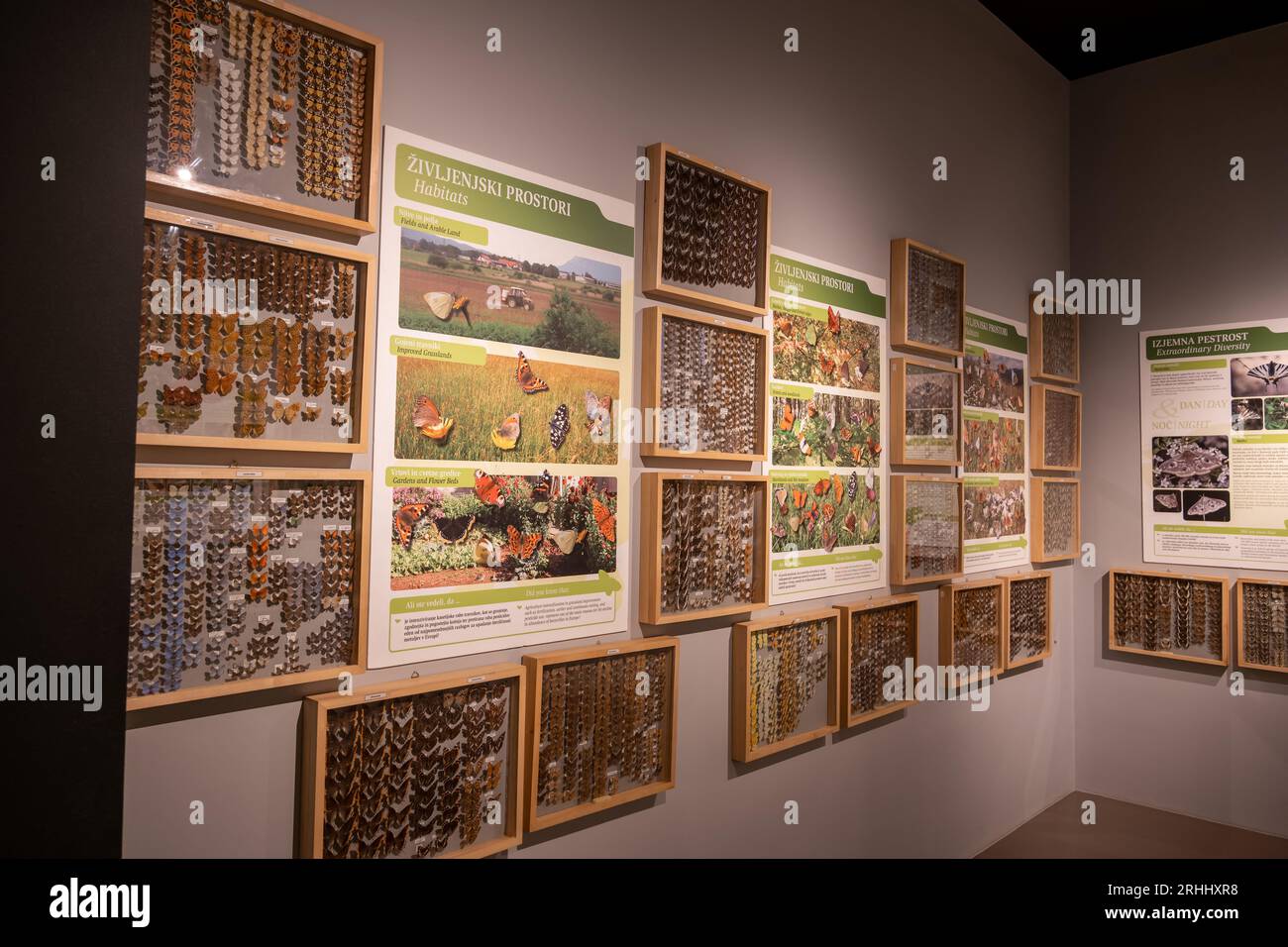 Butterfly exhibition hi-res stock photography and images - Alamy