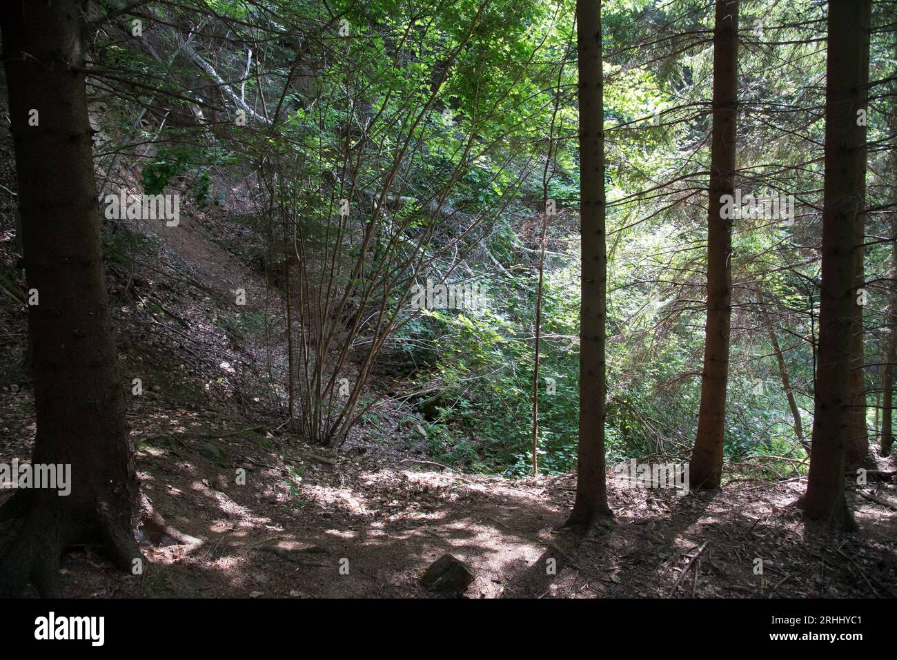 Complex Wlodarz of Project Riese in Gluszyca, Poland. In 1943 Nazi ...