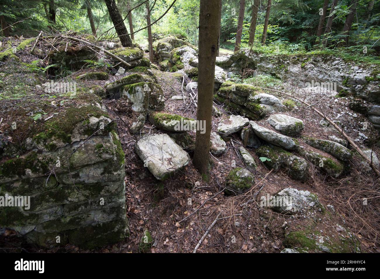 Thousands of fossilized bags of cement at building materials depot ...