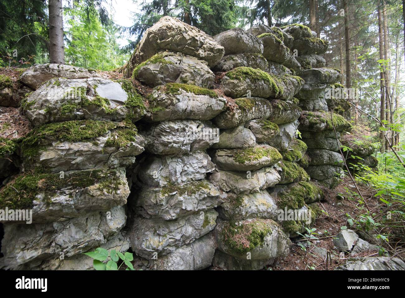 Thousands of fossilized bags of cement at building materials depot ...