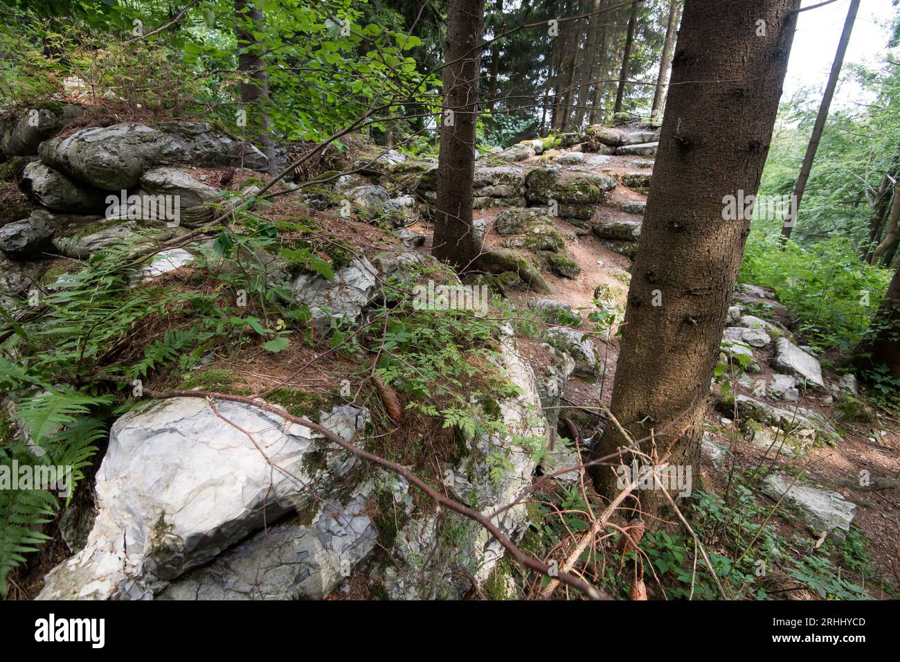 Thousands of fossilized bags of cement at building materials depot ...