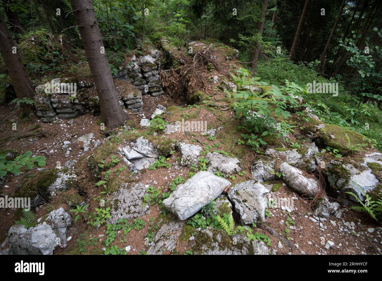 Thousands of fossilized bags of cement at building materials depot ...