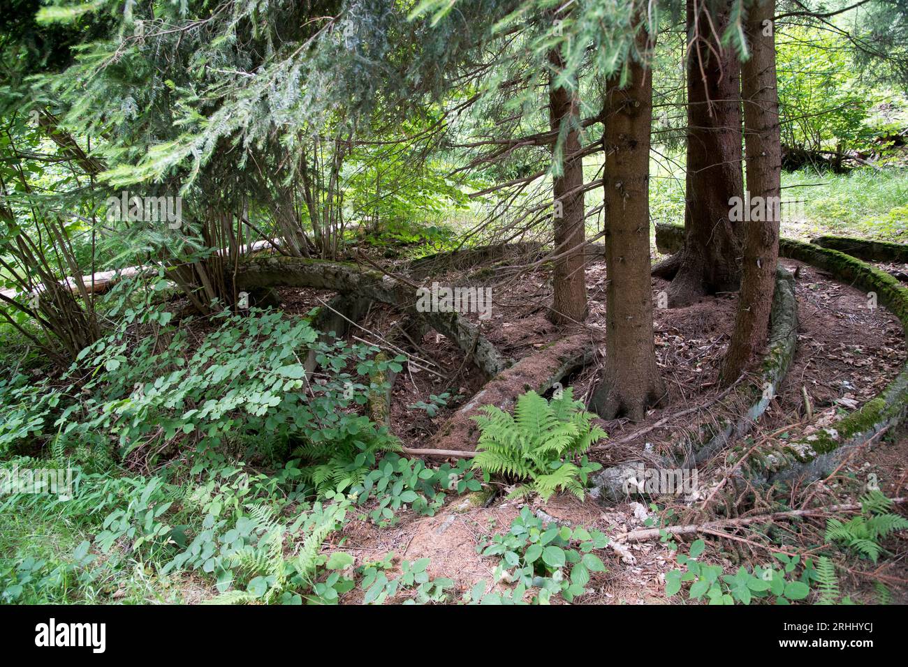 Building materials depot close to Complex Wlodarz of Project Riese in ...