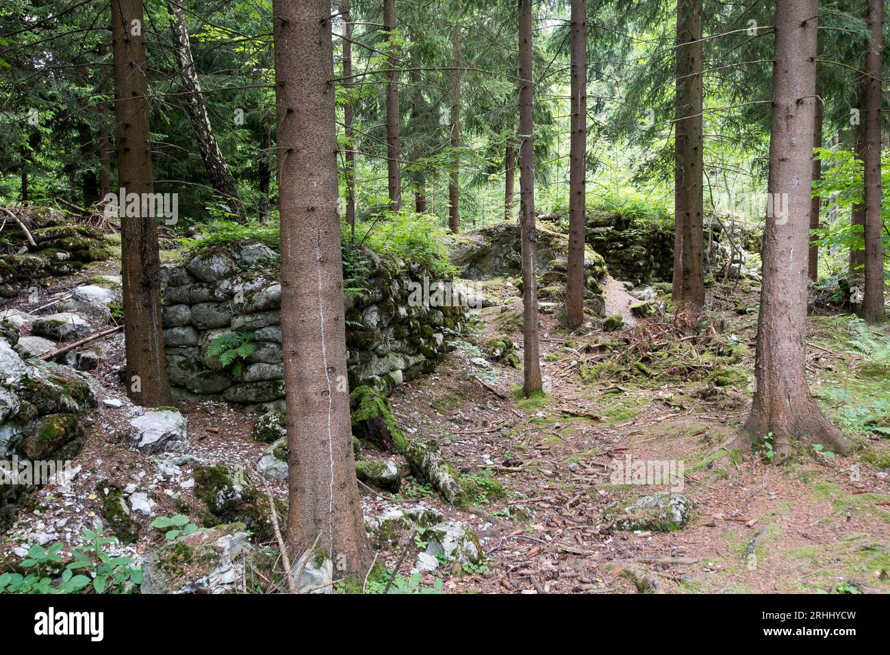 Thousands of fossilized bags of cement at building materials depot ...