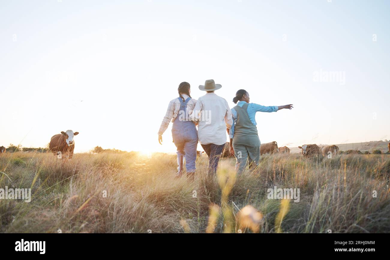 Farm, agriculture and women in field with cow pointing for inspection ...