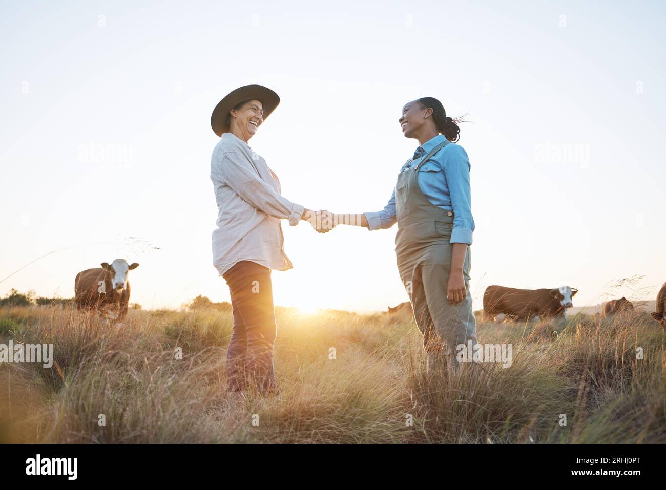 Farm, handshake and women with b2b sale, deal or agreement for small ...