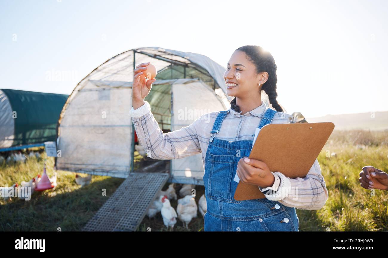 Agriculture, farm and a woman with an egg for inspection and a ...