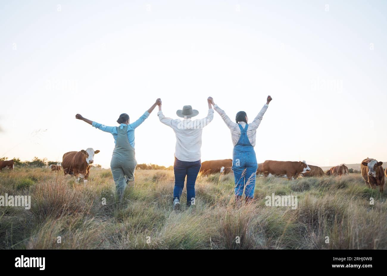 Farm, celebration and women back holding hands for success, happy or ...