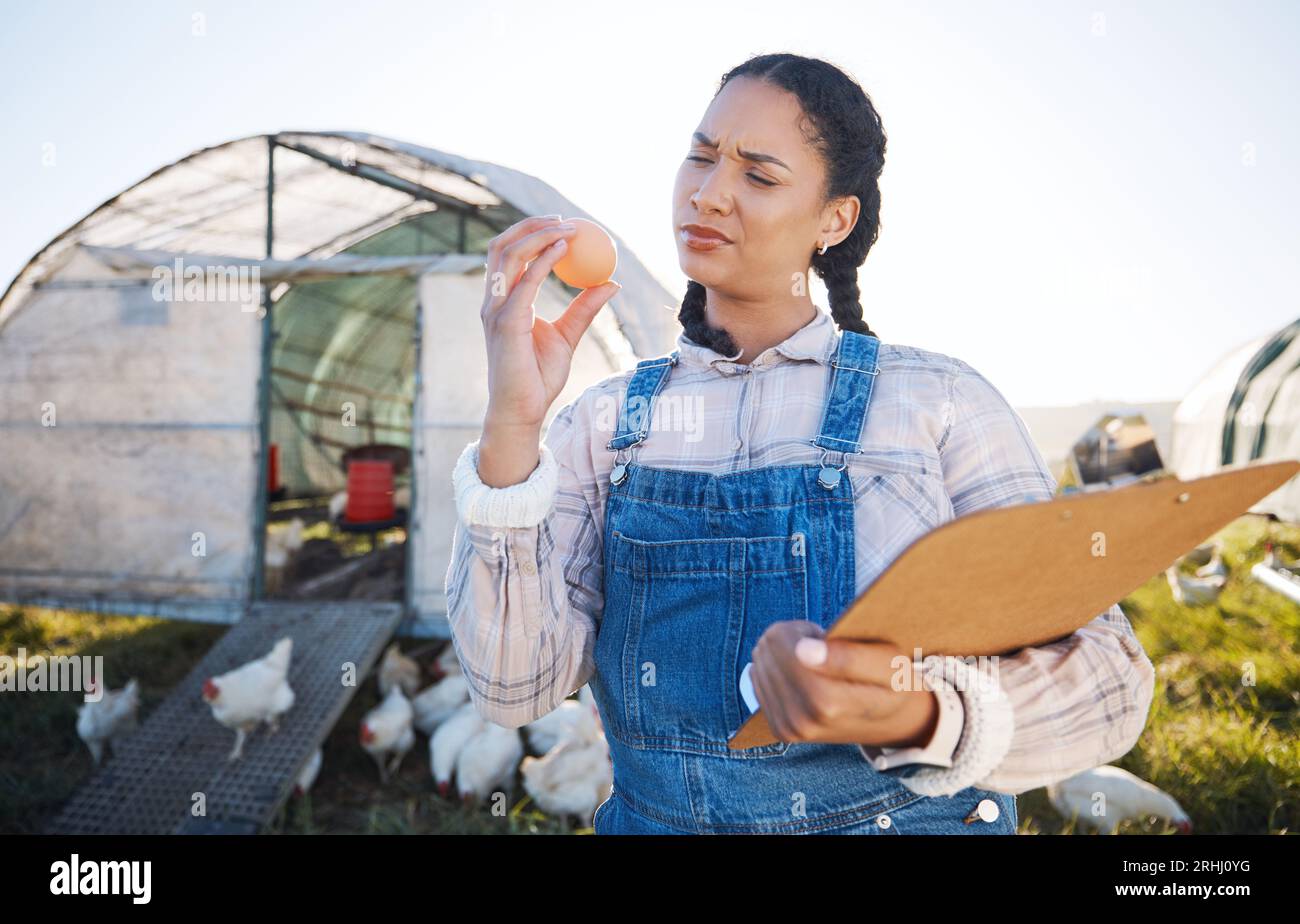 Farm, thinking and a woman with an egg for inspection and a clipboard ...