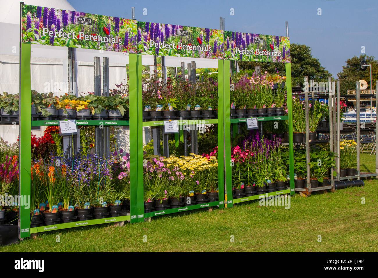 Perennial herbaceous plants, shrubs & flowers. Horticultural industry ...