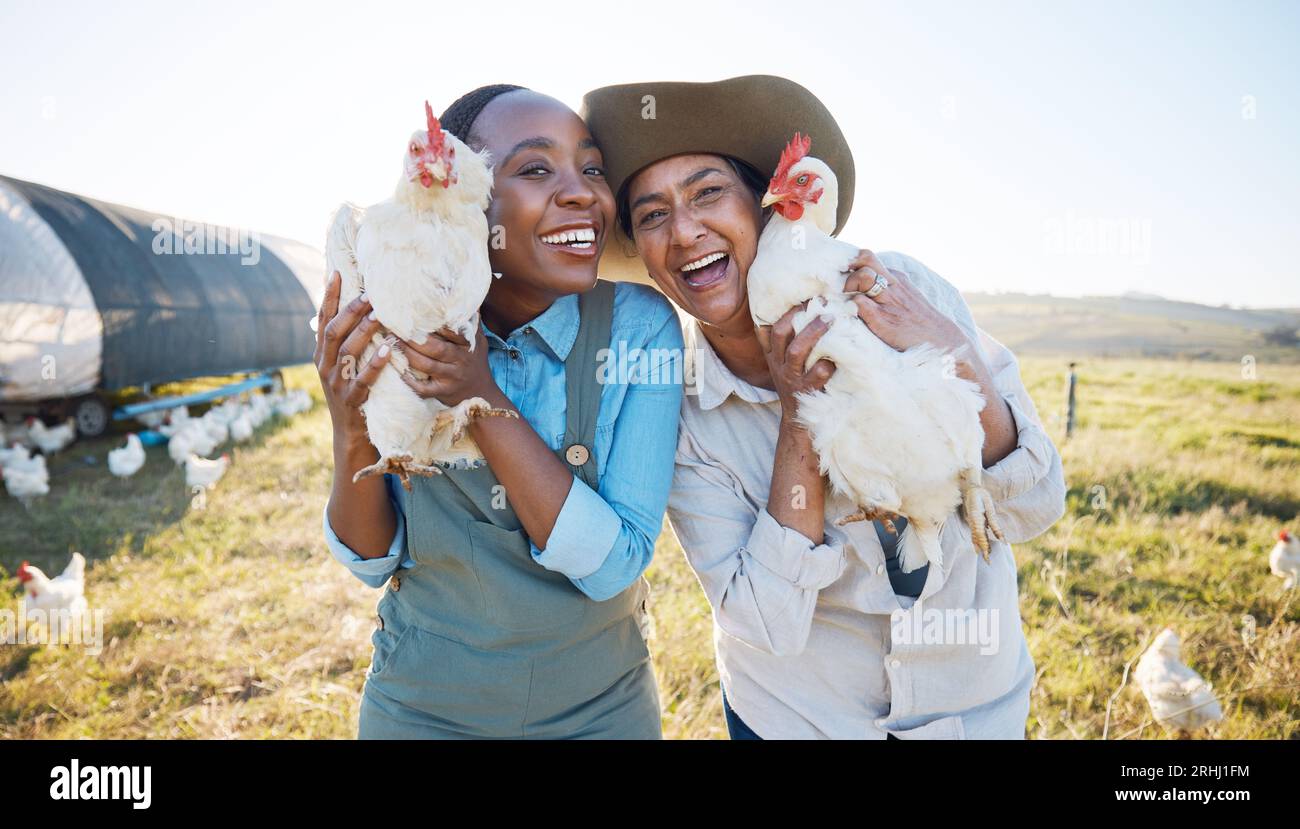 Portrait, teamwork or farmers chicken on farm or field harvesting ...