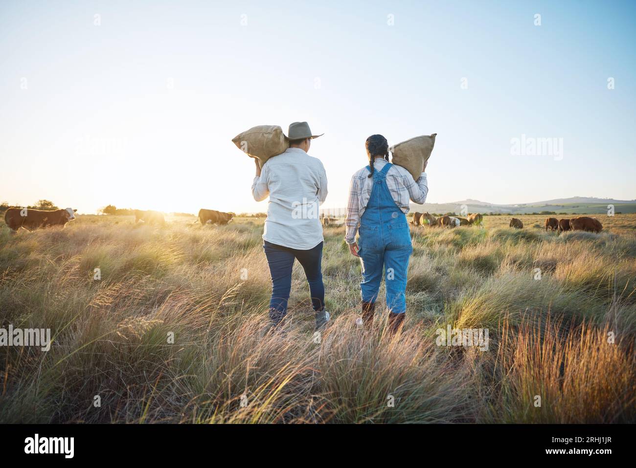 Farmer carrying sack while working at farm hi-res stock photography and ...