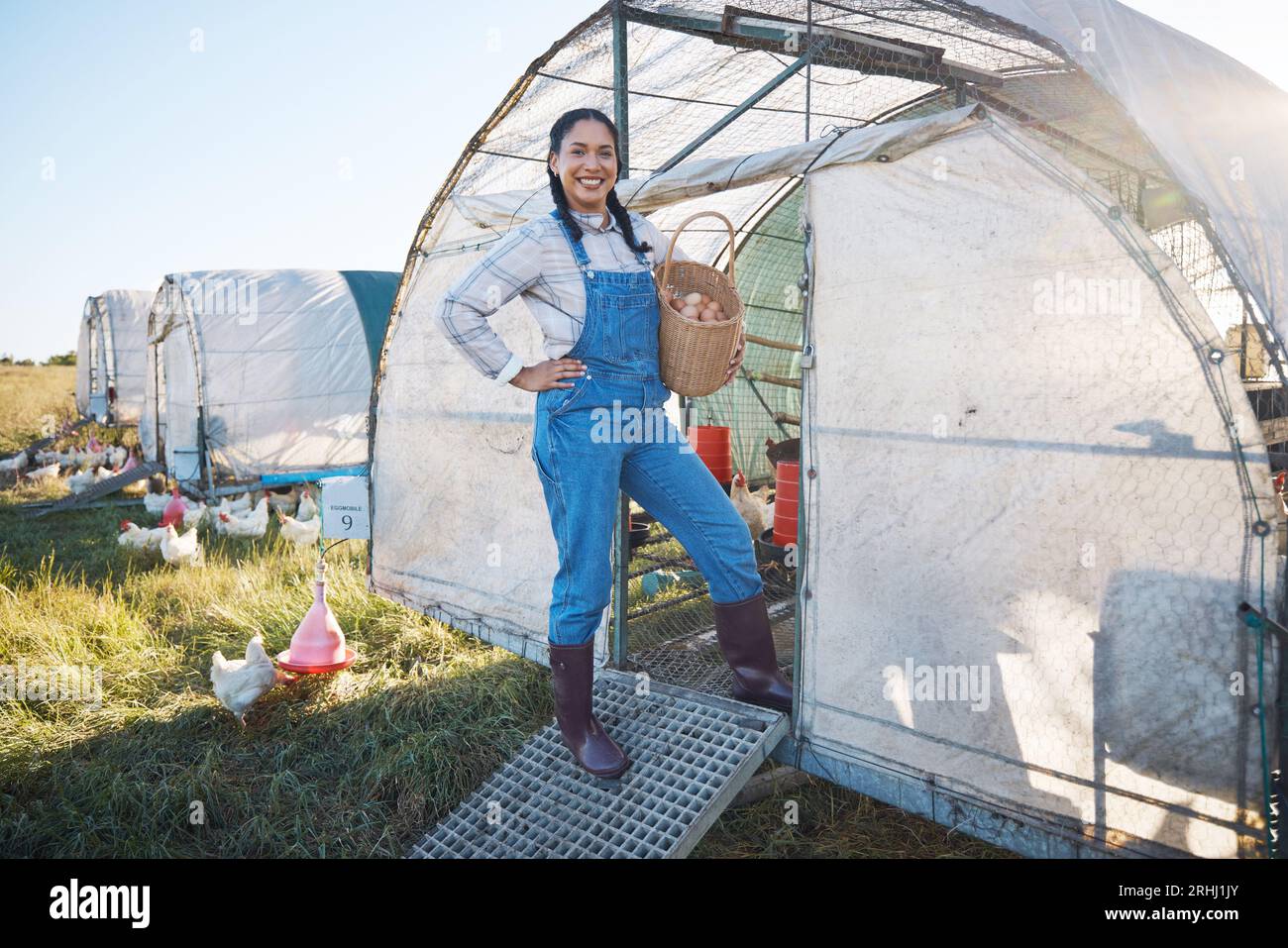 Chicken farming, smile and woman with eggs in basket, coop and sunshine ...