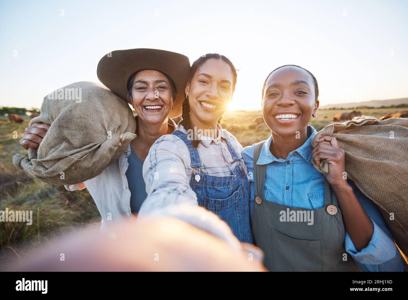 Agriculture, selfie and woman friends on farm for cattle, livestock or ...