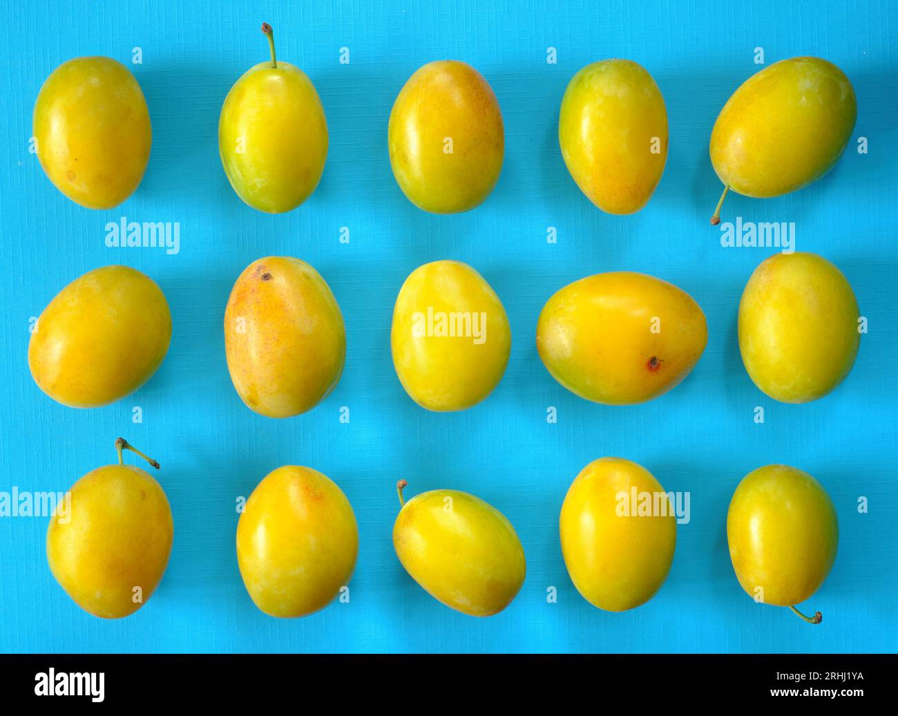 yellow plums in rows, flat lay, fresh fruits, free copy space ...