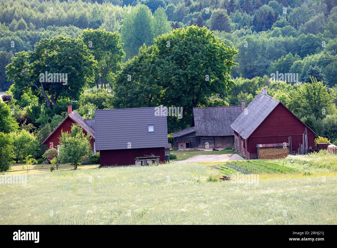 Traditional wooden Seto houses in Obinitsa village close to the border with Russia, on a ...